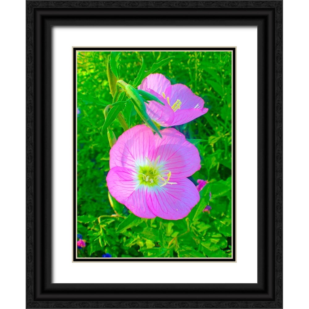 Grayscale 12x14 Black Ornate Wood Framed with Double Matting Museum Art ...