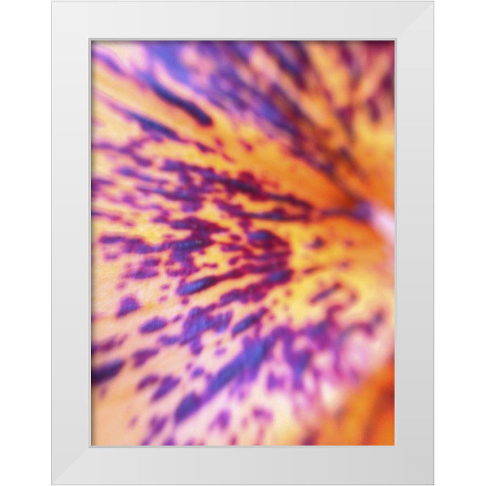 Grayscale 12x14 White Modern Wood Framed Museum Art Print Titled - Lava ...