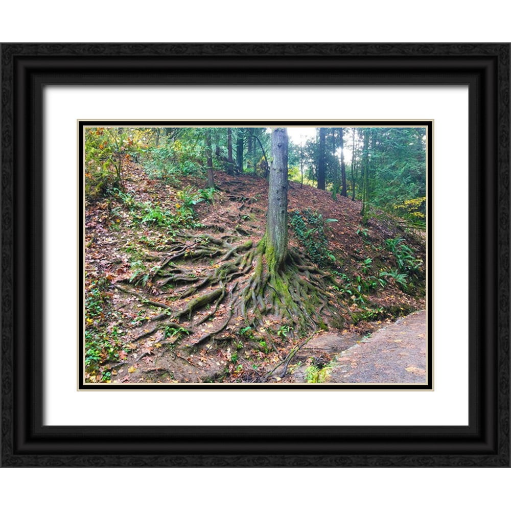 Grayscale 14x12 Black Ornate Wood Framed with Double Matting Museum Art ...