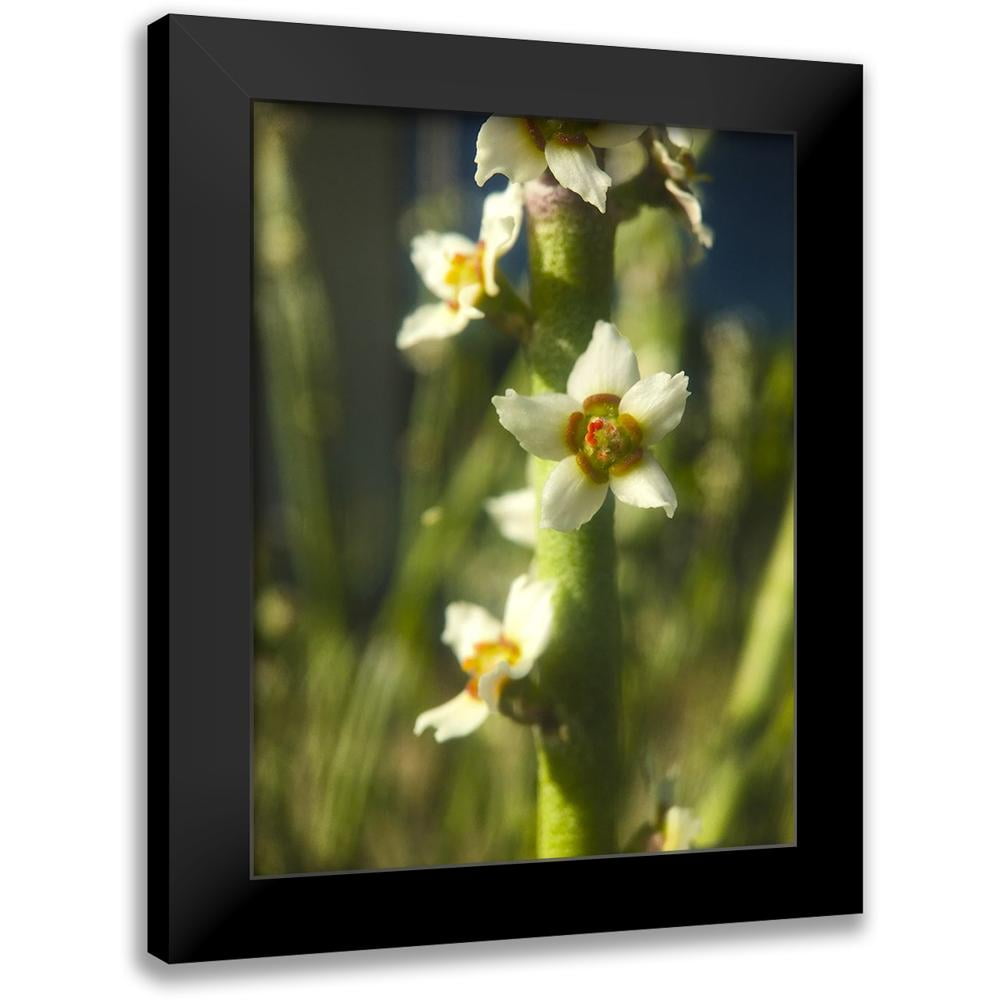 Grayscale 15x18 Black Modern Framed Museum Art Print Titled - Pencil ...