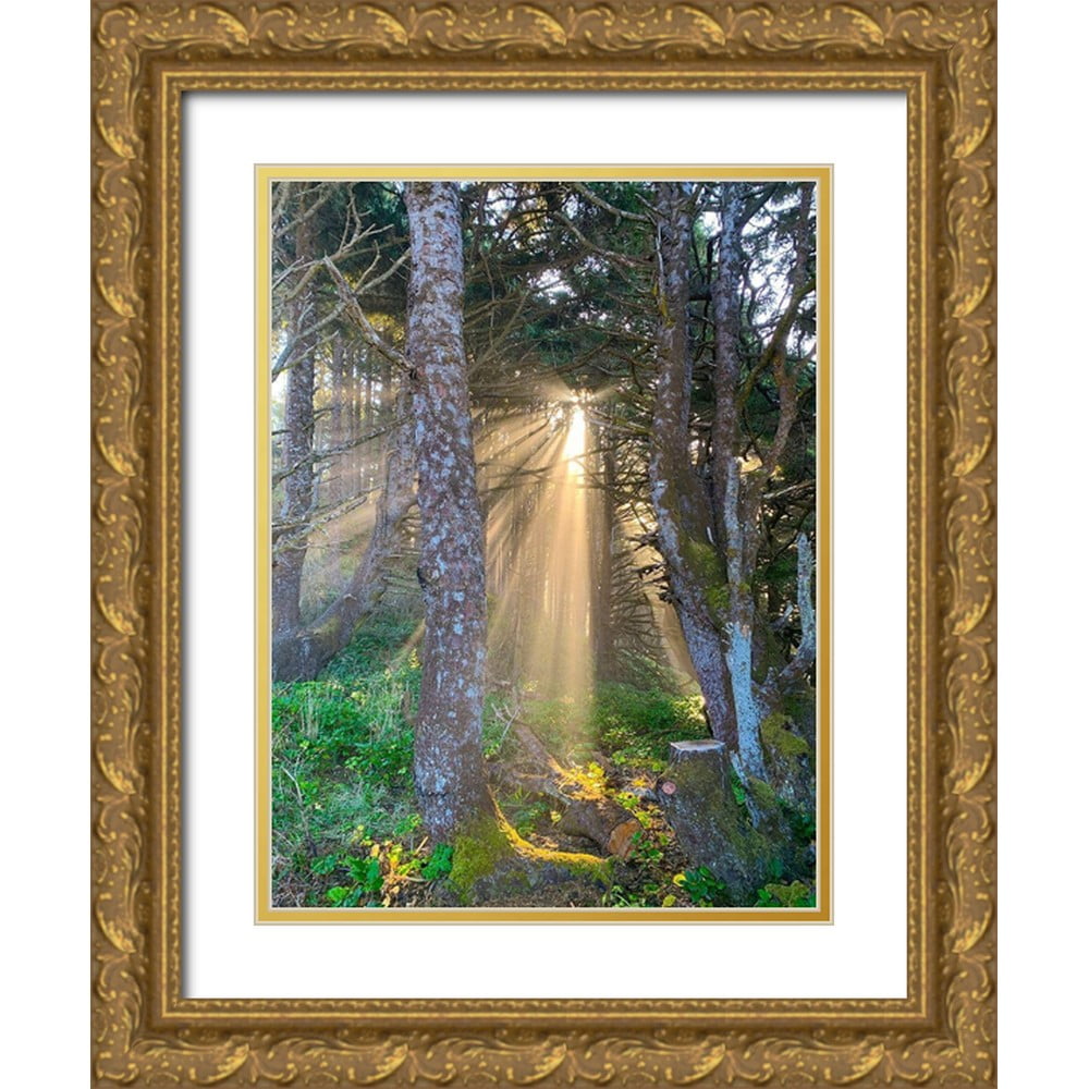 Grayscale 15x18 Gold Ornate Wood Framed with Double Matting Museum Art ...