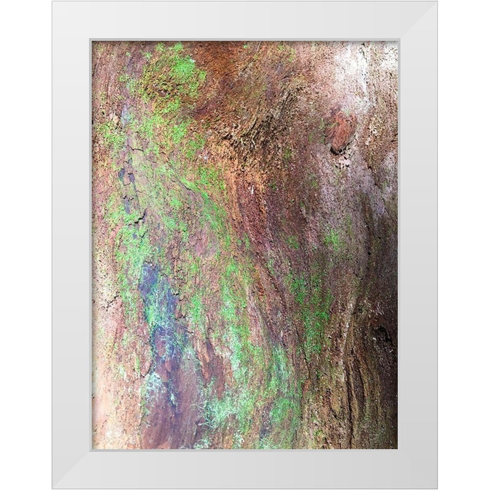 Grayscale 15x18 White Modern Wood Framed Museum Art Print Titled - Bark ...