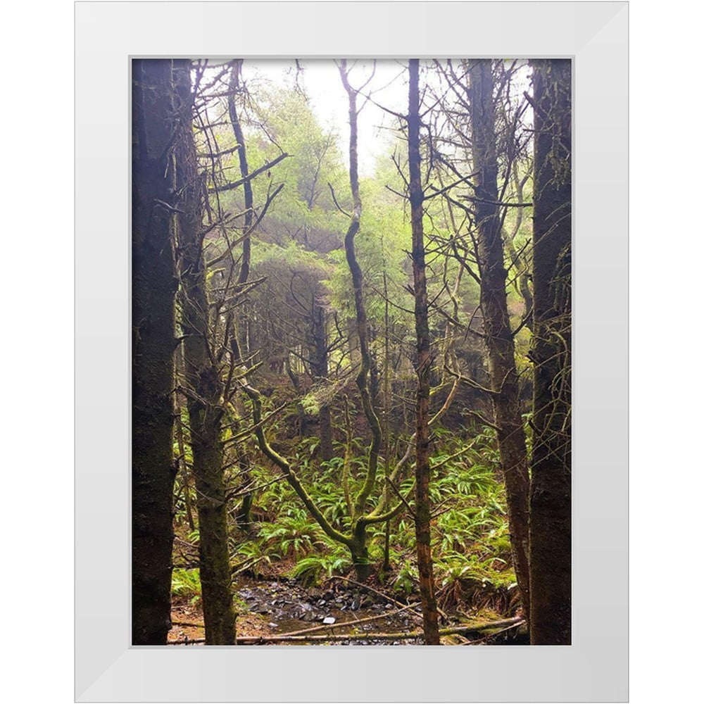 Grayscale 15x18 White Modern Wood Framed Museum Art Print Titled - Tree ...