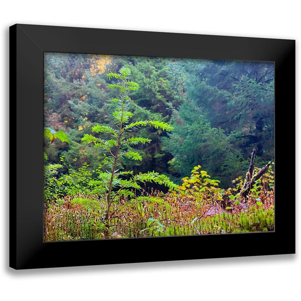 Grayscale 18x15 Black Modern Framed Museum Art Print Titled - Smallest ...