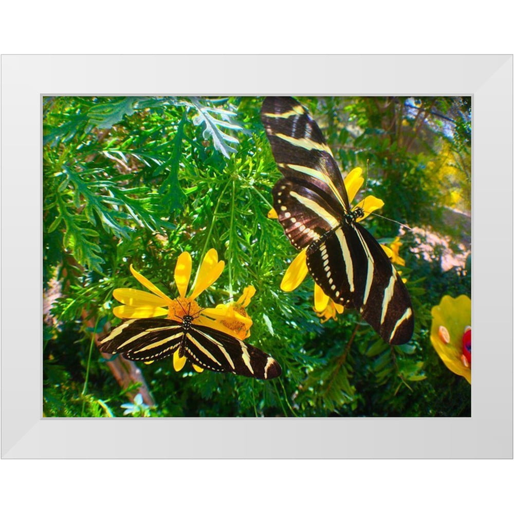 Grayscale 18x15 White Modern Wood Framed Museum Art Print Titled ...