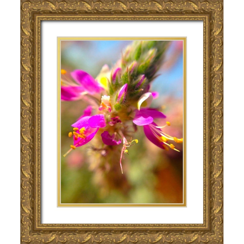 Grayscale 19x24 Gold Ornate Wood Framed with Double Matting Museum Art Print Titled - Exploding ...