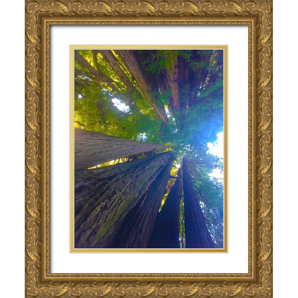 Grayscale 19x24 Gold Ornate Wood Framed with Double Matting Museum Art ...