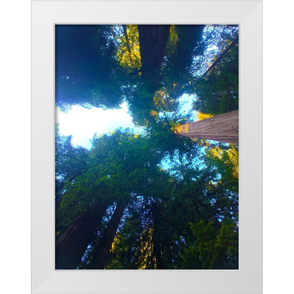 Grayscale 19x24 White Modern Wood Framed Museum Art Print Titled - Tree ...