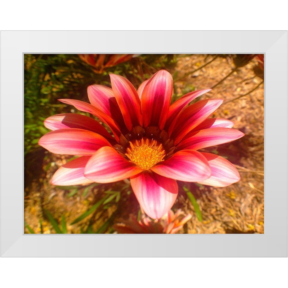 Grayscale 24x19 White Modern Wood Framed Museum Art Print Titled ...