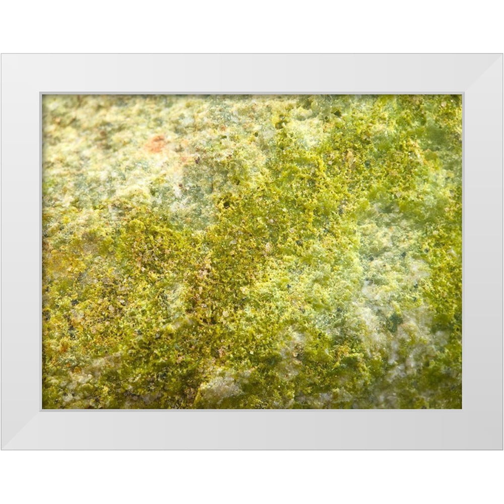 Grayscale 24x19 White Modern Wood Framed Museum Art Print Titled - Jade ...