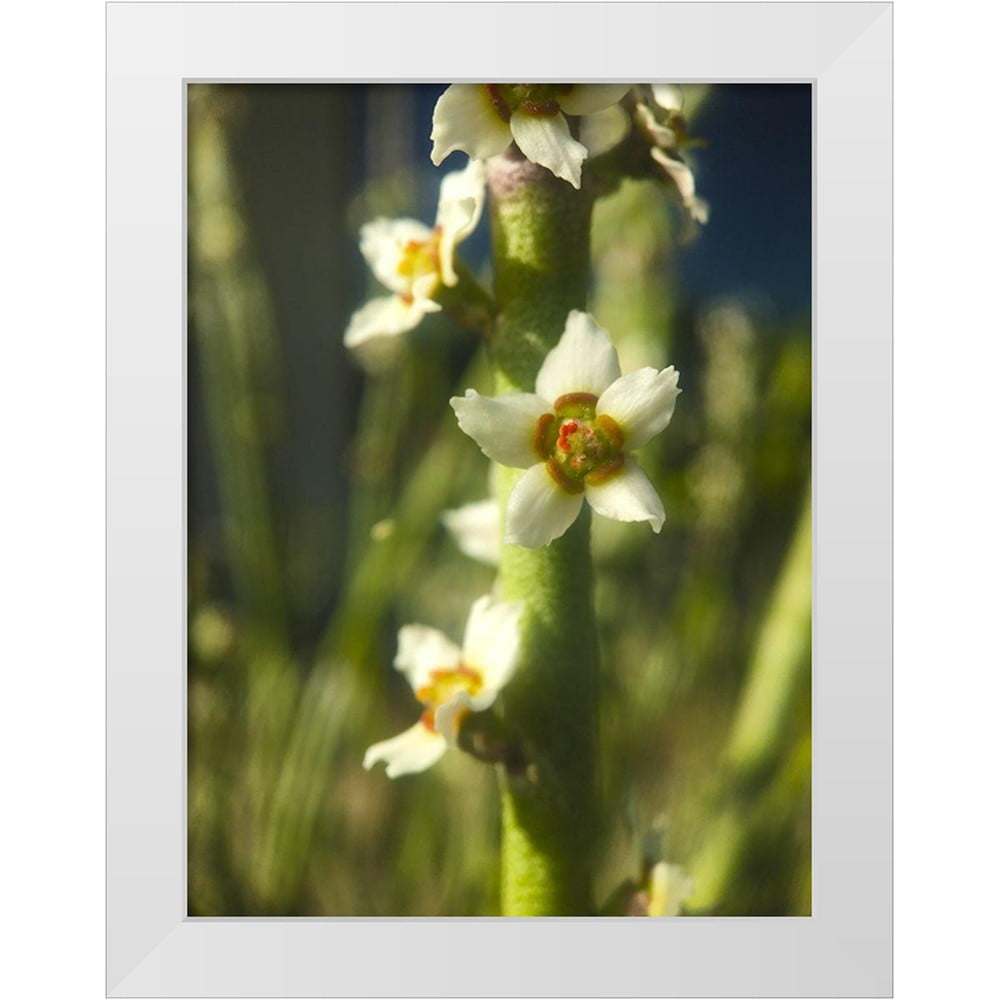 Grayscale 25x32 White Modern Wood Framed Museum Art Print Titled ...