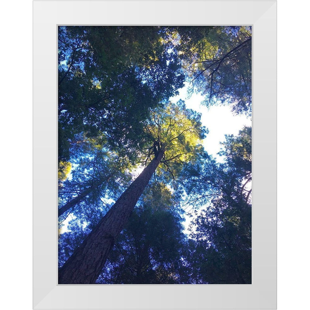 Grayscale 25x32 White Modern Wood Framed Museum Art Print Titled - Tree ...
