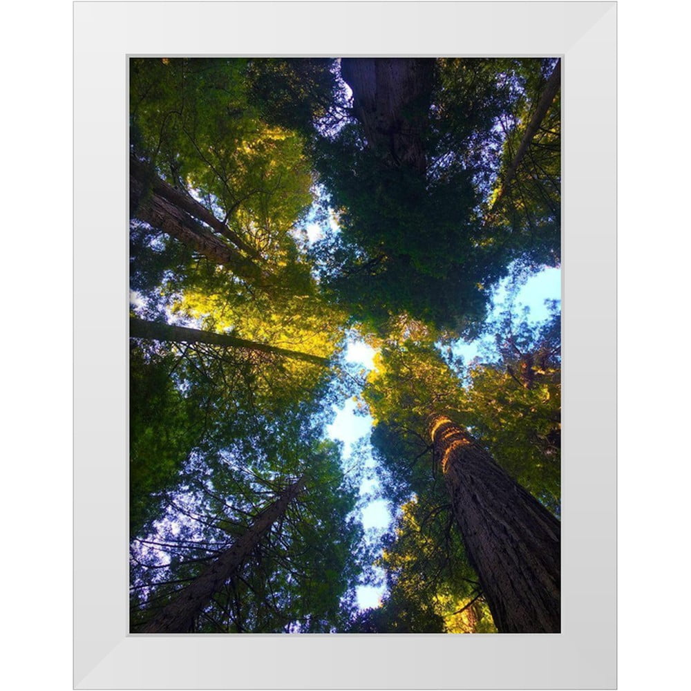 Grayscale 25x32 White Modern Wood Framed Museum Art Print Titled - Tree ...