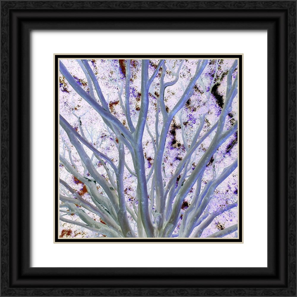 Grayscale 26x26 Black Ornate Wood Framed with Double Matting Museum Art ...