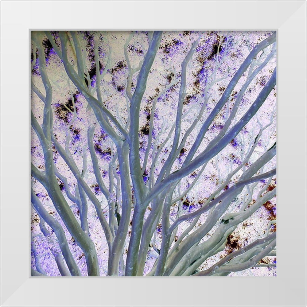 Grayscale 26x26 White Modern Wood Framed Museum Art Print Titled ...