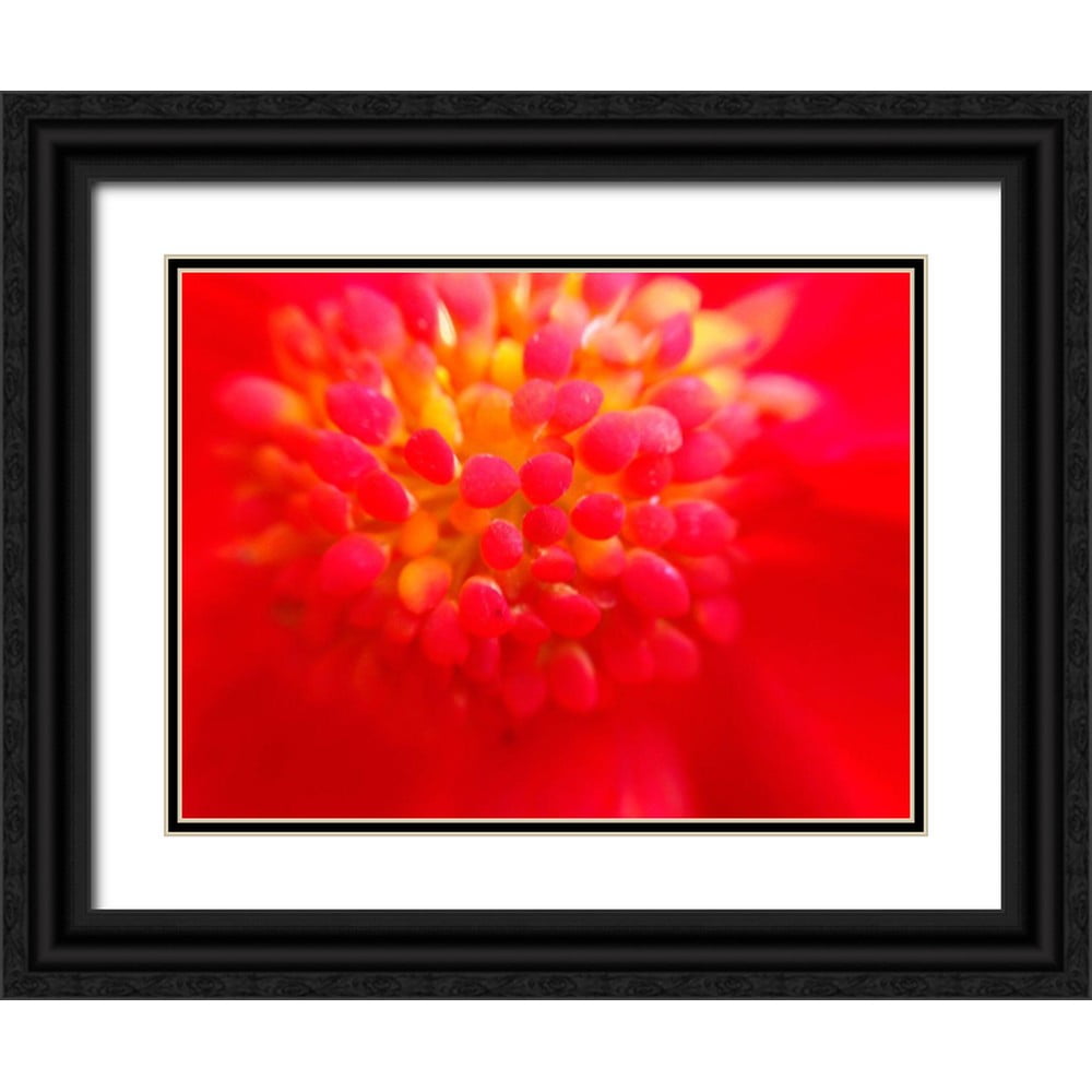 Grayscale 32x25 Black Ornate Wood Framed with Double Matting Museum Art ...