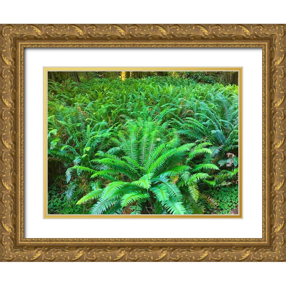 Grayscale 32x25 Gold Ornate Wood Framed with Double Matting Museum Art ...