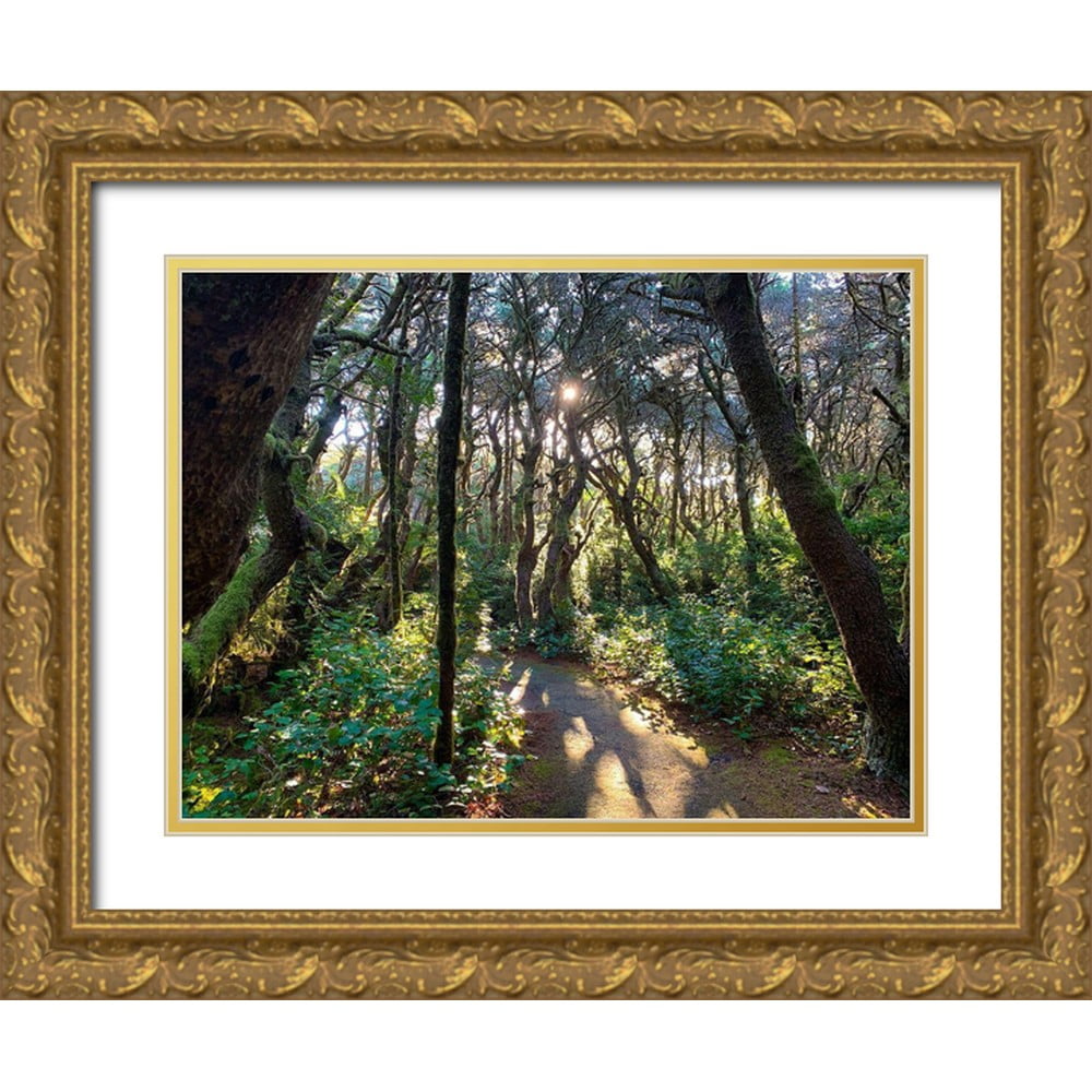 Grayscale 32x25 Gold Ornate Wood Framed with Double Matting Museum Art ...