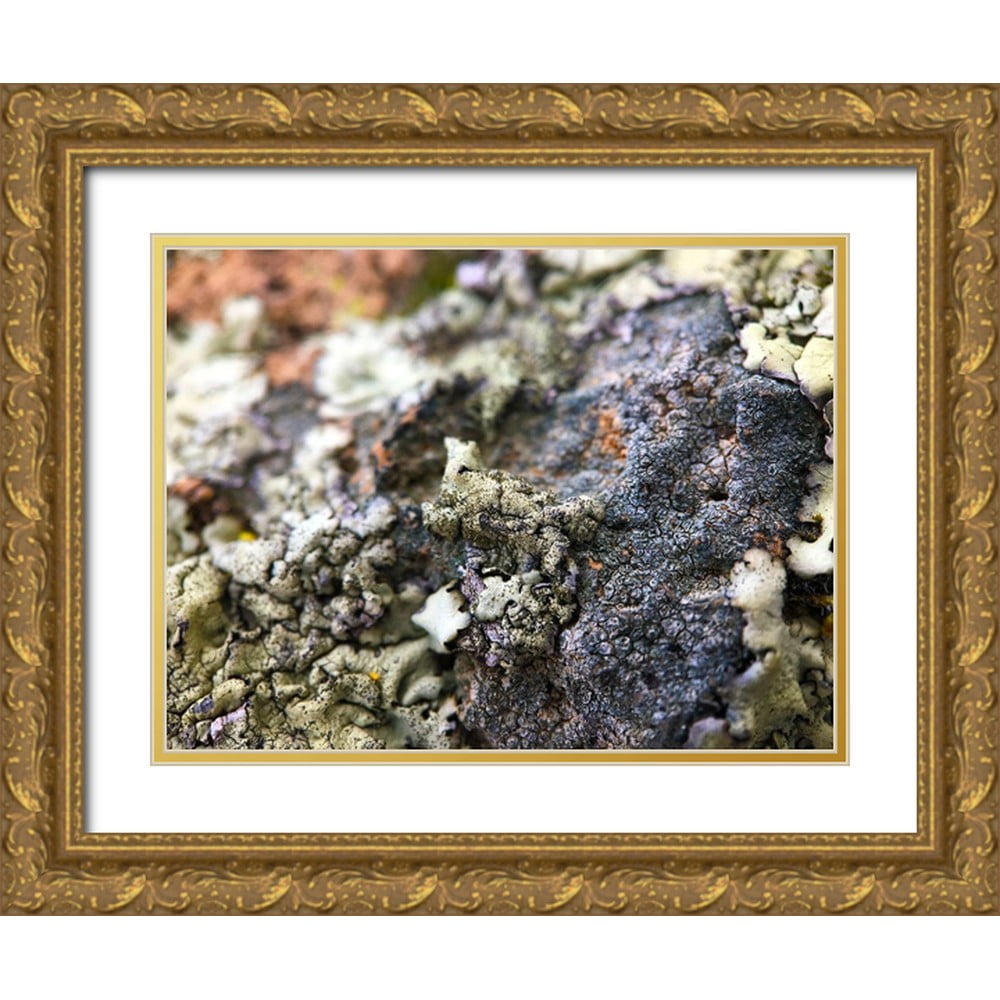 Grayscale 32x25 Gold Ornate Wood Framed with Double Matting Museum Art ...