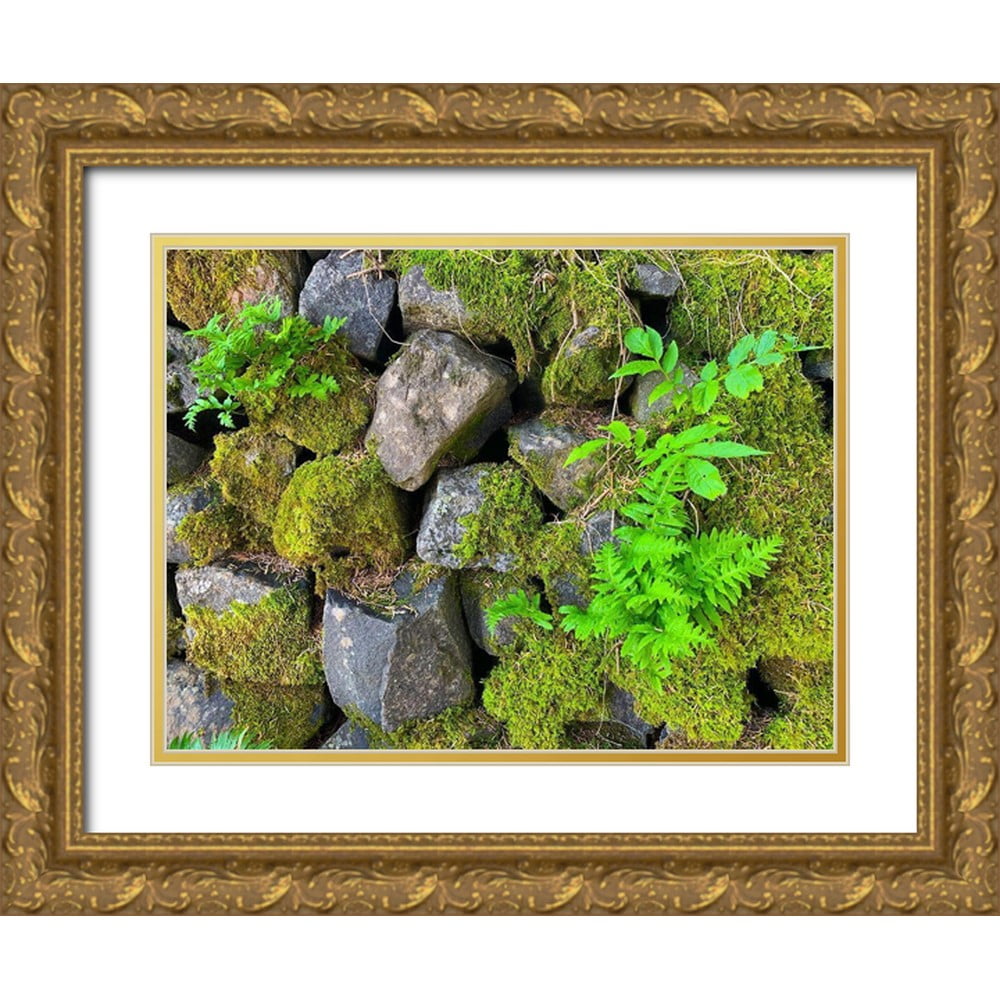 Grayscale 32x25 Gold Ornate Wood Framed with Double Matting Museum Art ...