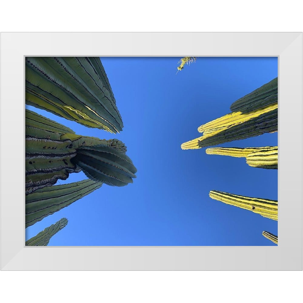 Grayscale 32x25 White Modern Wood Framed Museum Art Print Titled ...