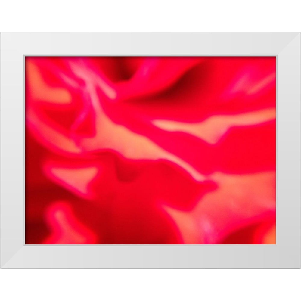 Grayscale 32x25 White Modern Wood Framed Museum Art Print Titled - Rose ...