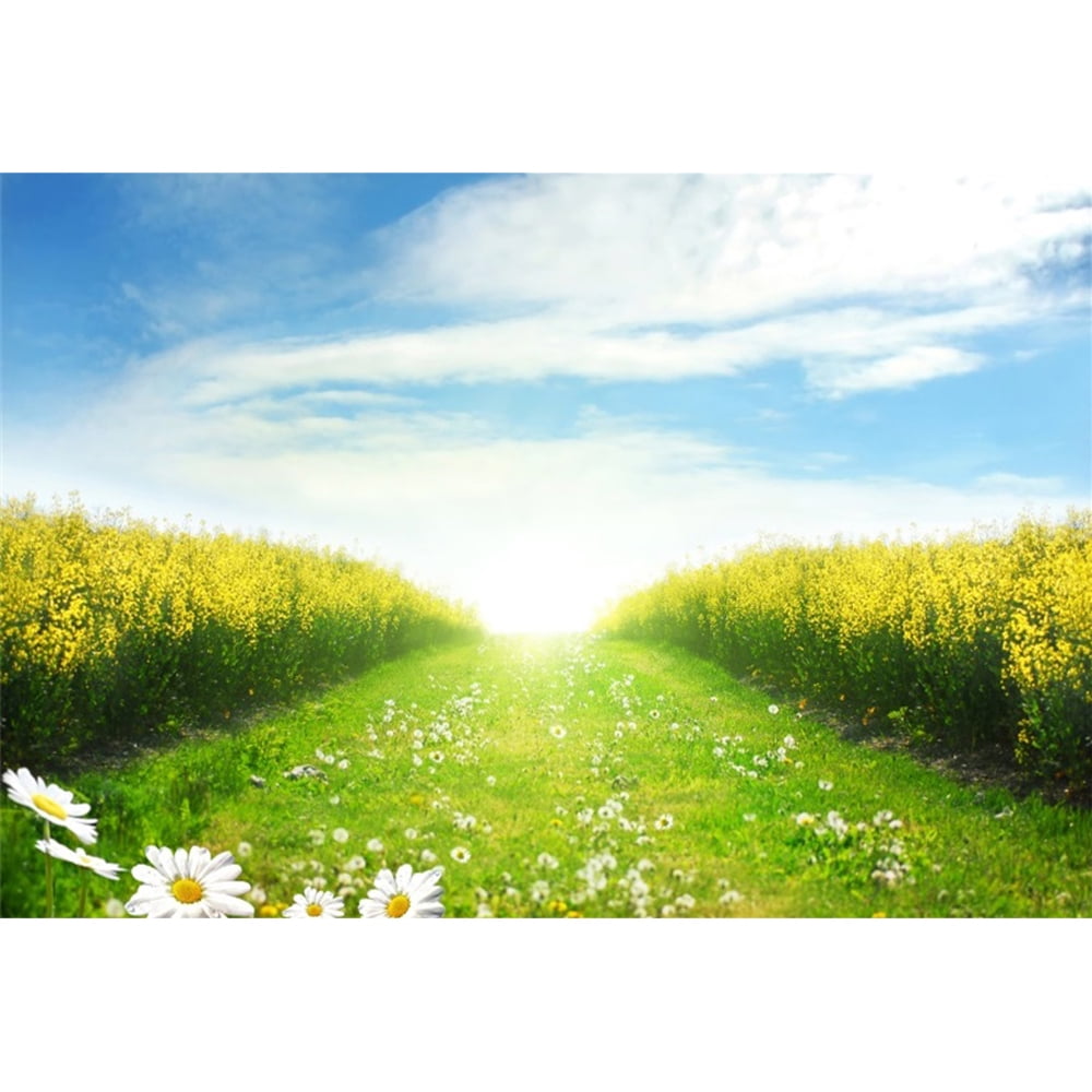 Gre Grass Lawn Blue Sky Cloudy Spring Natural Scic Photography ...
