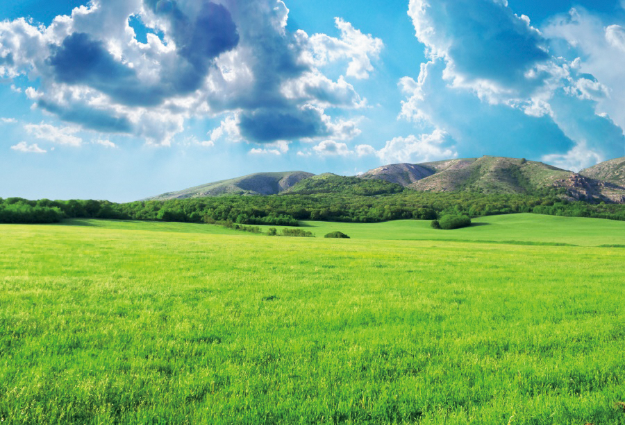 Gre Grass Lawn Blue Sky Cloudy Spring Natural Scic Photography ...