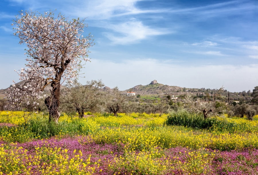 Gre Grass Lawn Blue Sky Cloudy Spring Natural Scic Photography ...