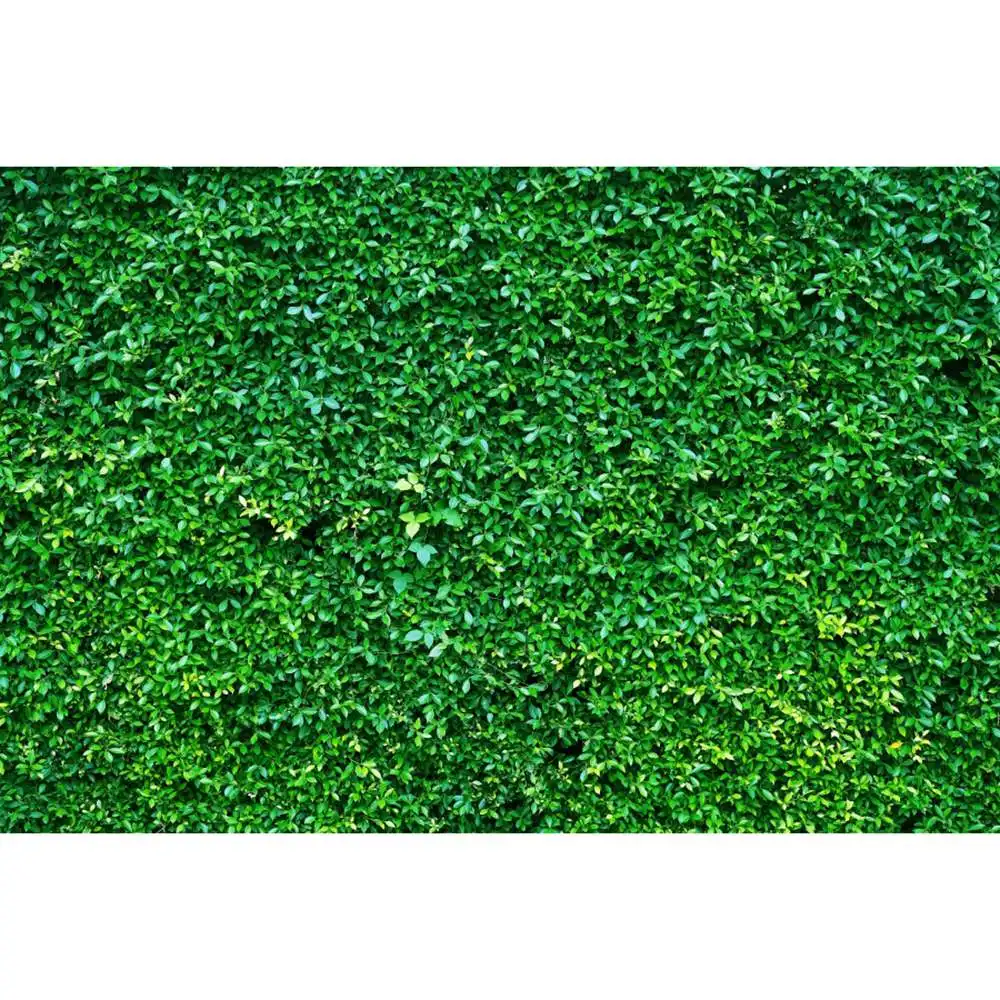 Gre Leaves Grass Wall Photo Studio Backdrop Spring Greery ration ...