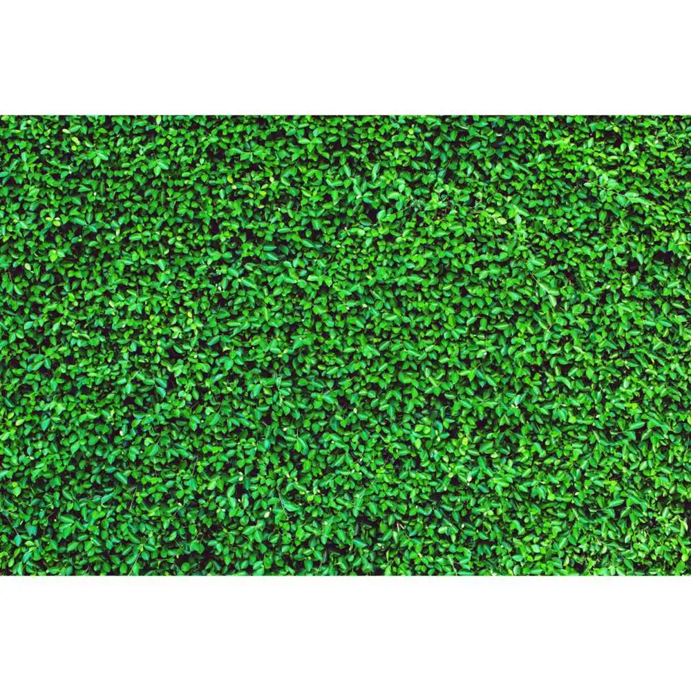 Gre Leaves Grass Wall Photo Studio Backdrop Spring Greery ration ...