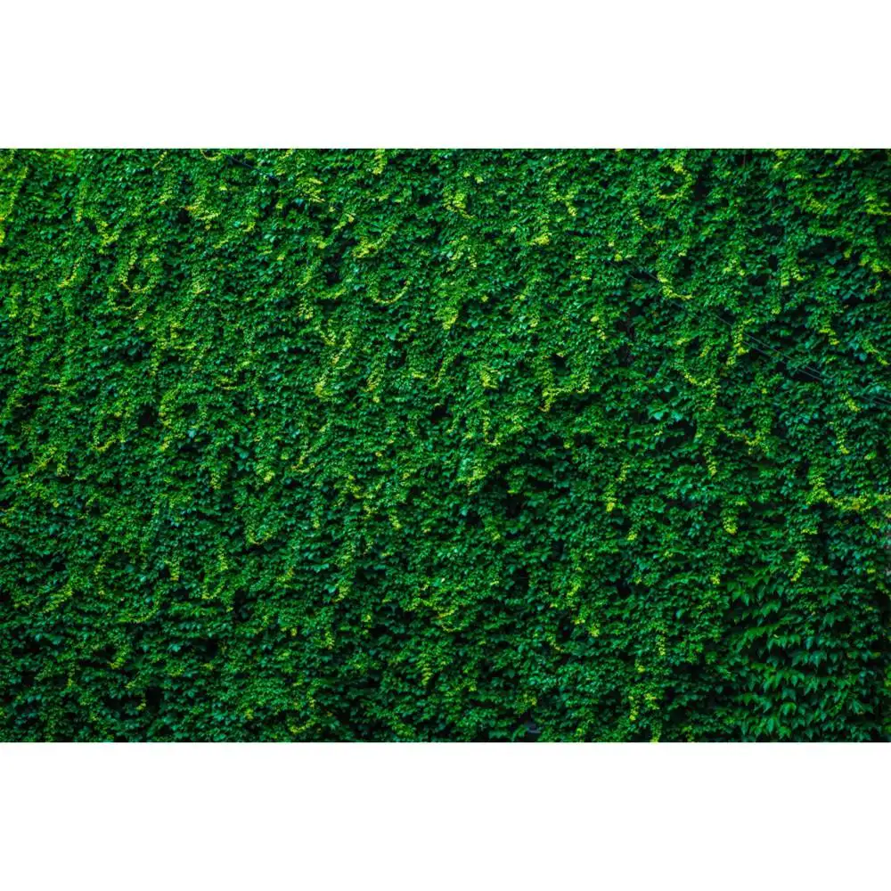 Gre Leaves Grass Wall Photo Studio Backdrop Spring Greery ration ...