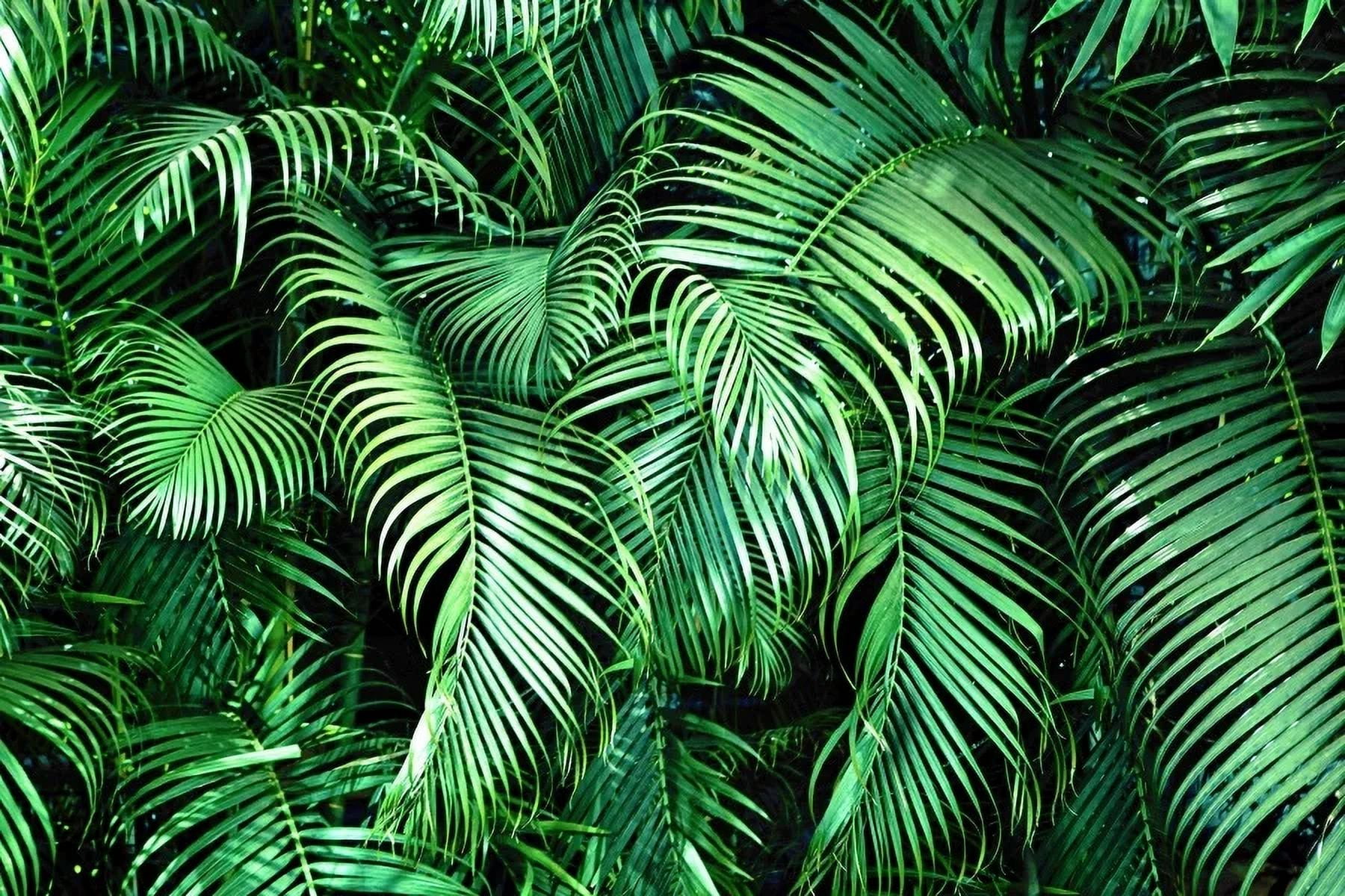 Gre Leaves Grass Wall Photo Studio Backdrop Spring Greery ration ...