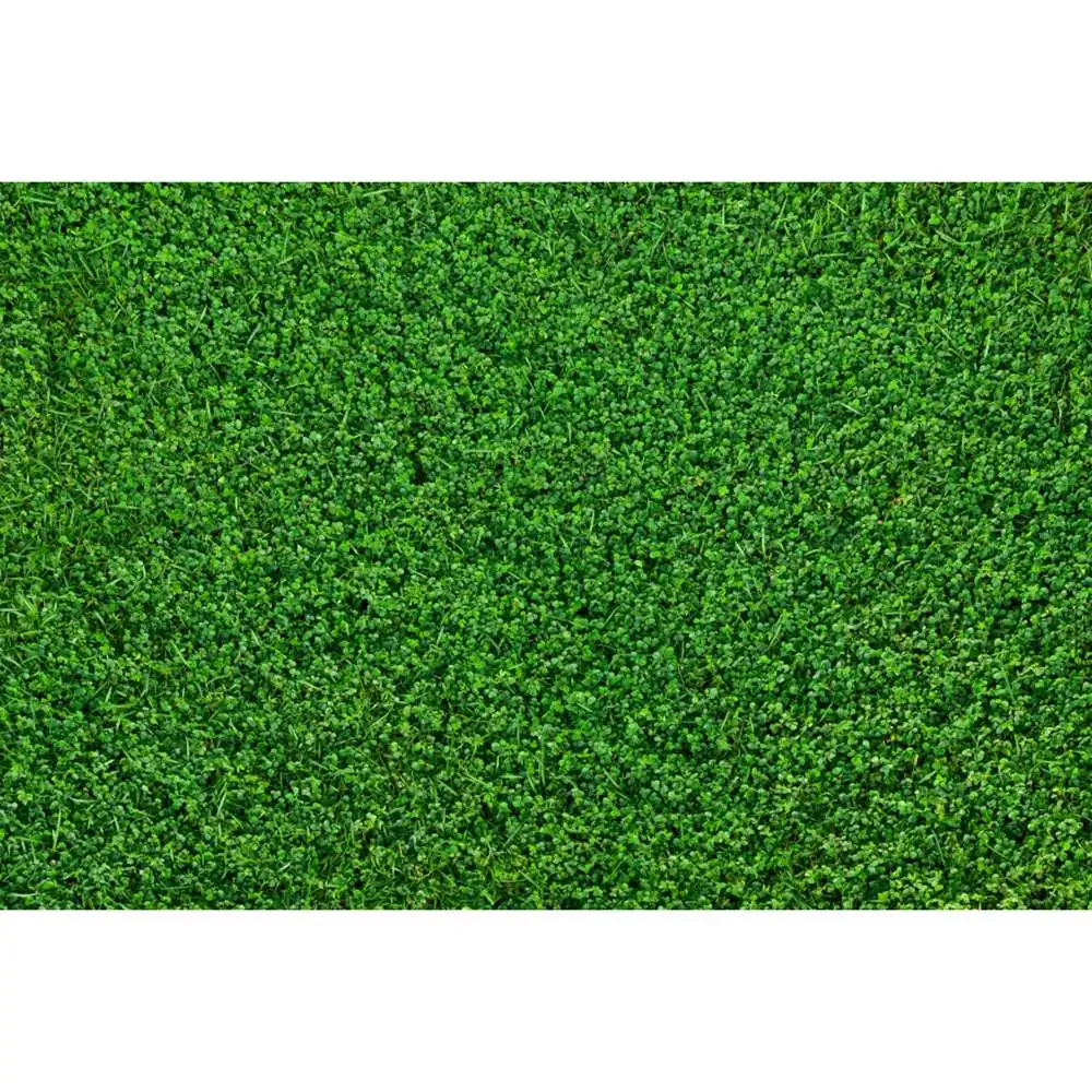 Gre Leaves Grass Wall Photo Studio Backdrop Spring Greery ration ...