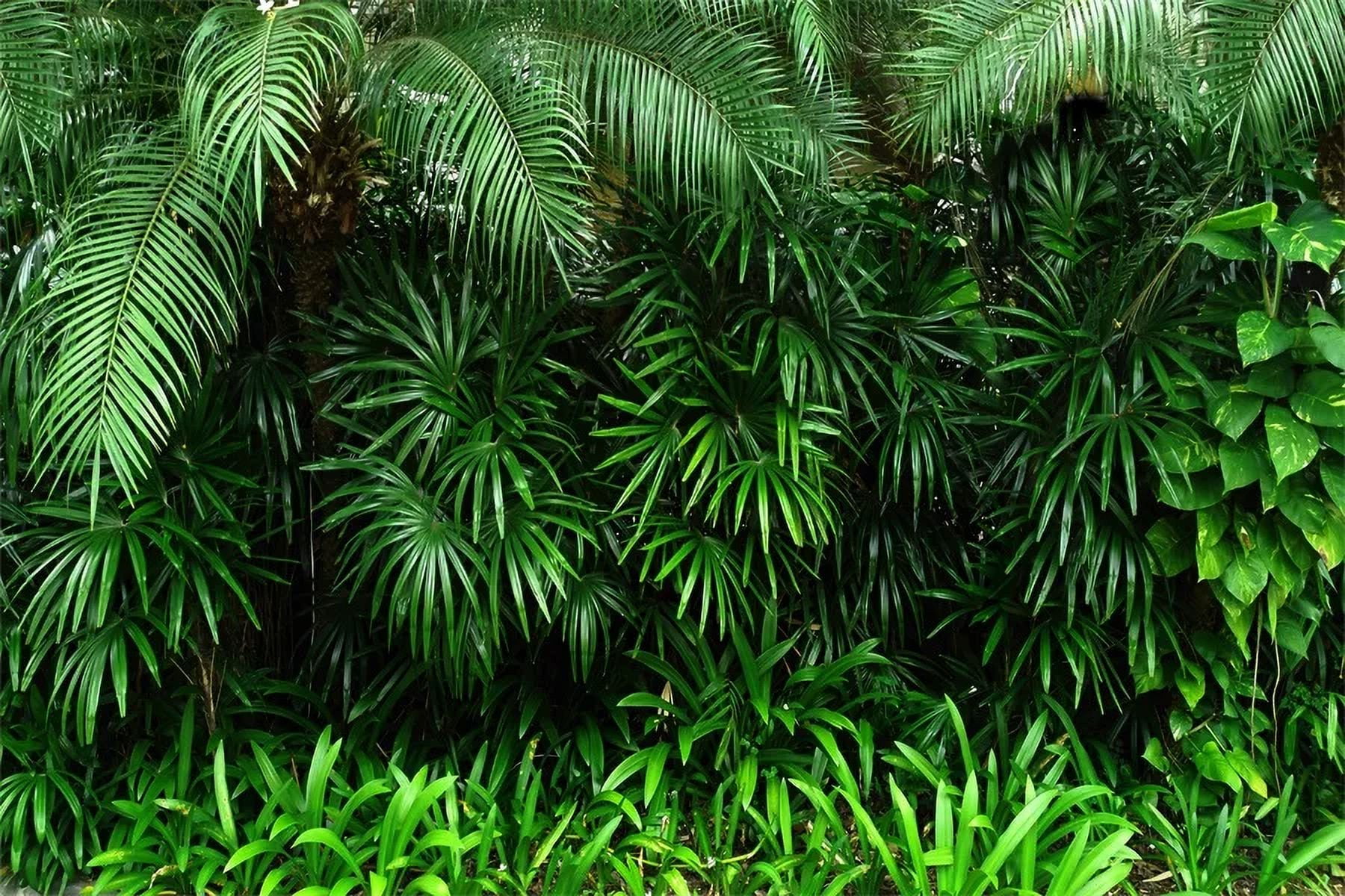 Gre Leaves Grass Wall Photo Studio Backdrop Spring Greery ration ...