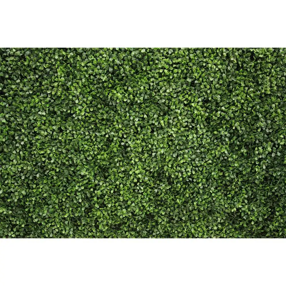 Gre Leaves Grass Wall Photo Studio Backdrop Spring Greery ration ...