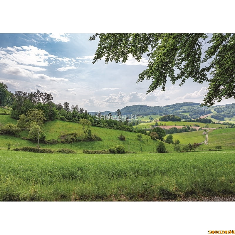 Gre Spring Beautiful Scery Photography Backdrops Props Blue Sky White ...