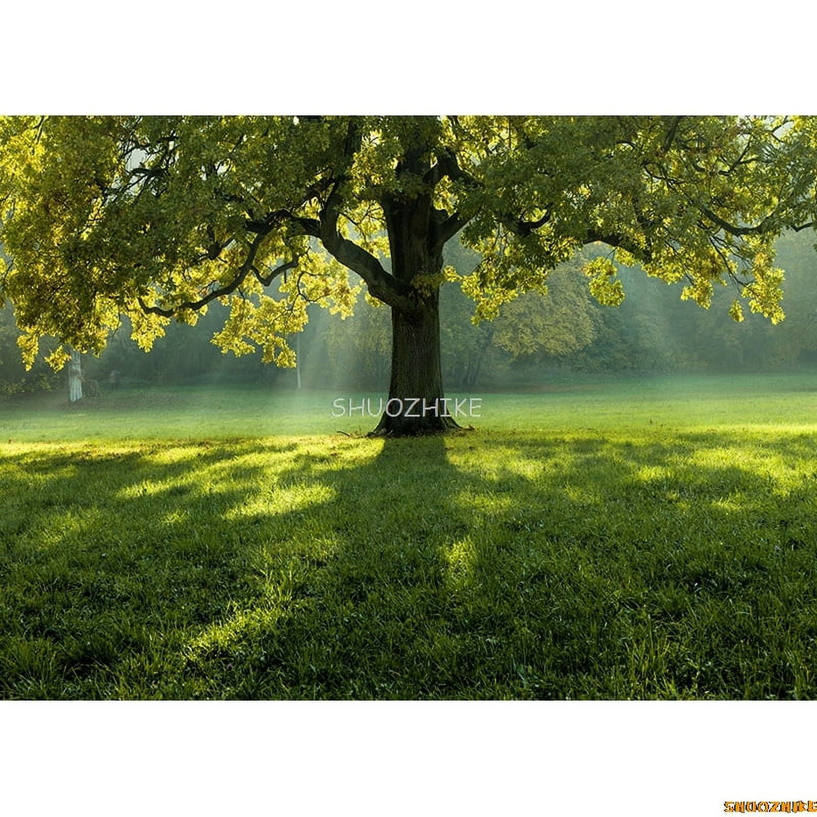 Gre Spring Beautiful Scery Photography Backdrops Props Blue Sky White Cloud Nature lawn Forest ...