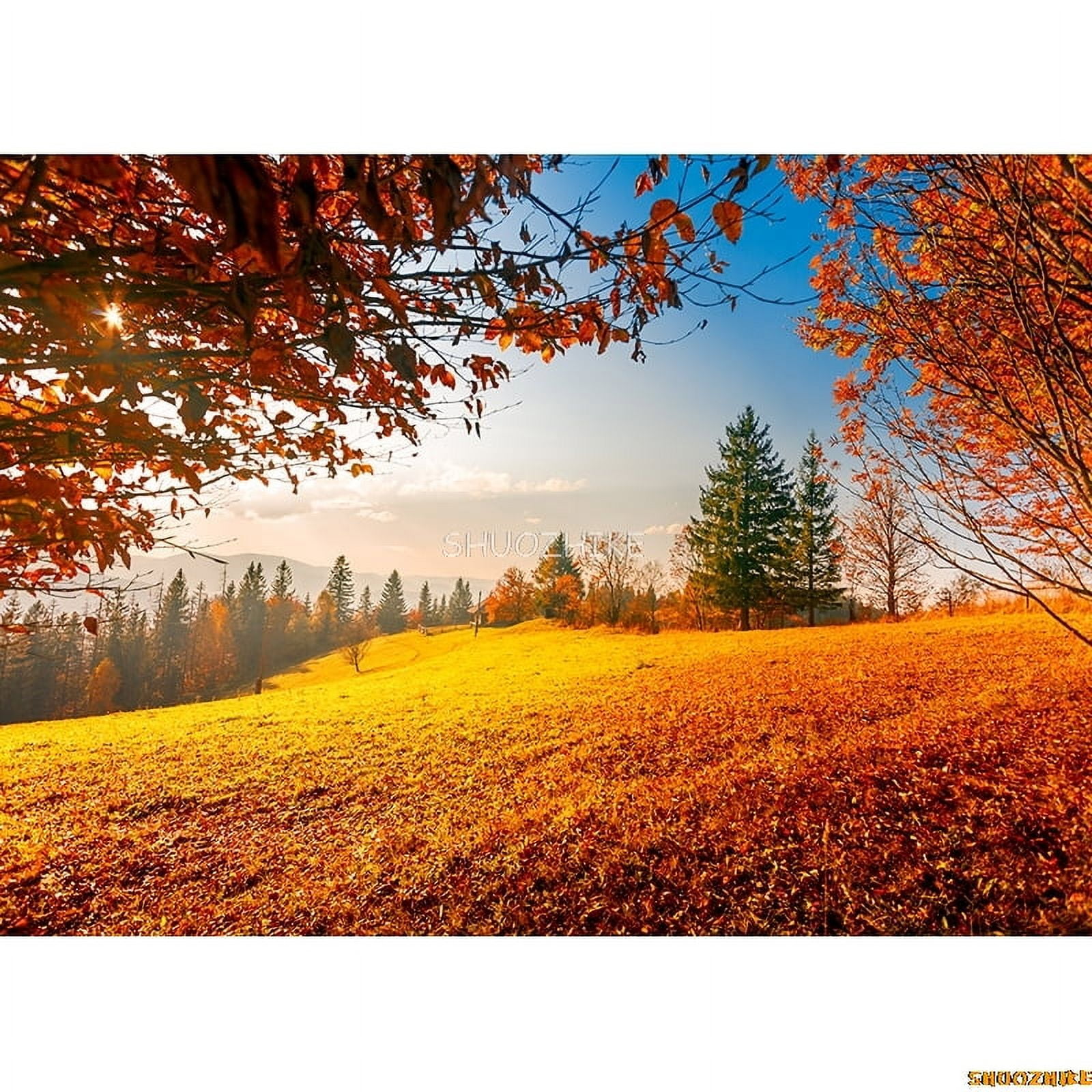 Gre Spring Beautiful Scery Photography Backdrops Props Blue Sky White ...