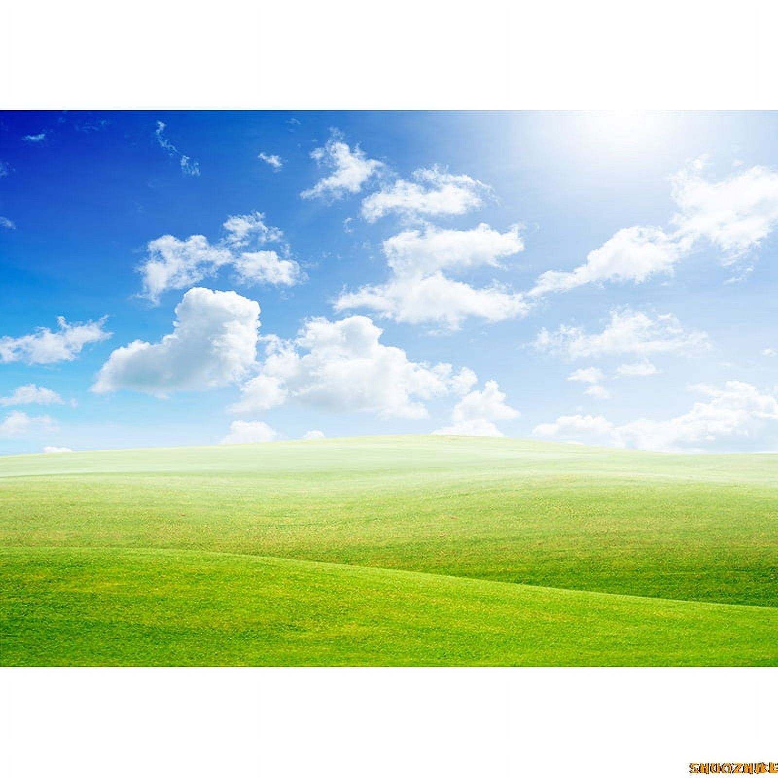 Gre Virgin Coniferous Forest Photography Backdrops Props Moss Tropical ...