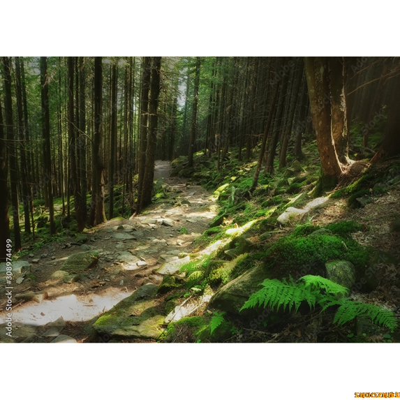 Gre Virgin Coniferous Forest Photography Backdrops Props Moss Tropical ...