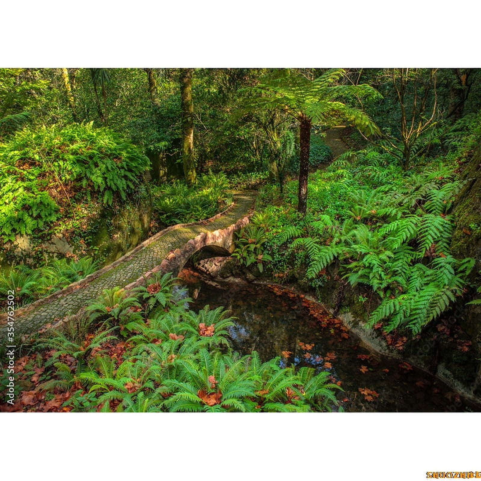 Gre Virgin Coniferous Forest Photography Backdrops Props Moss Tropical ...