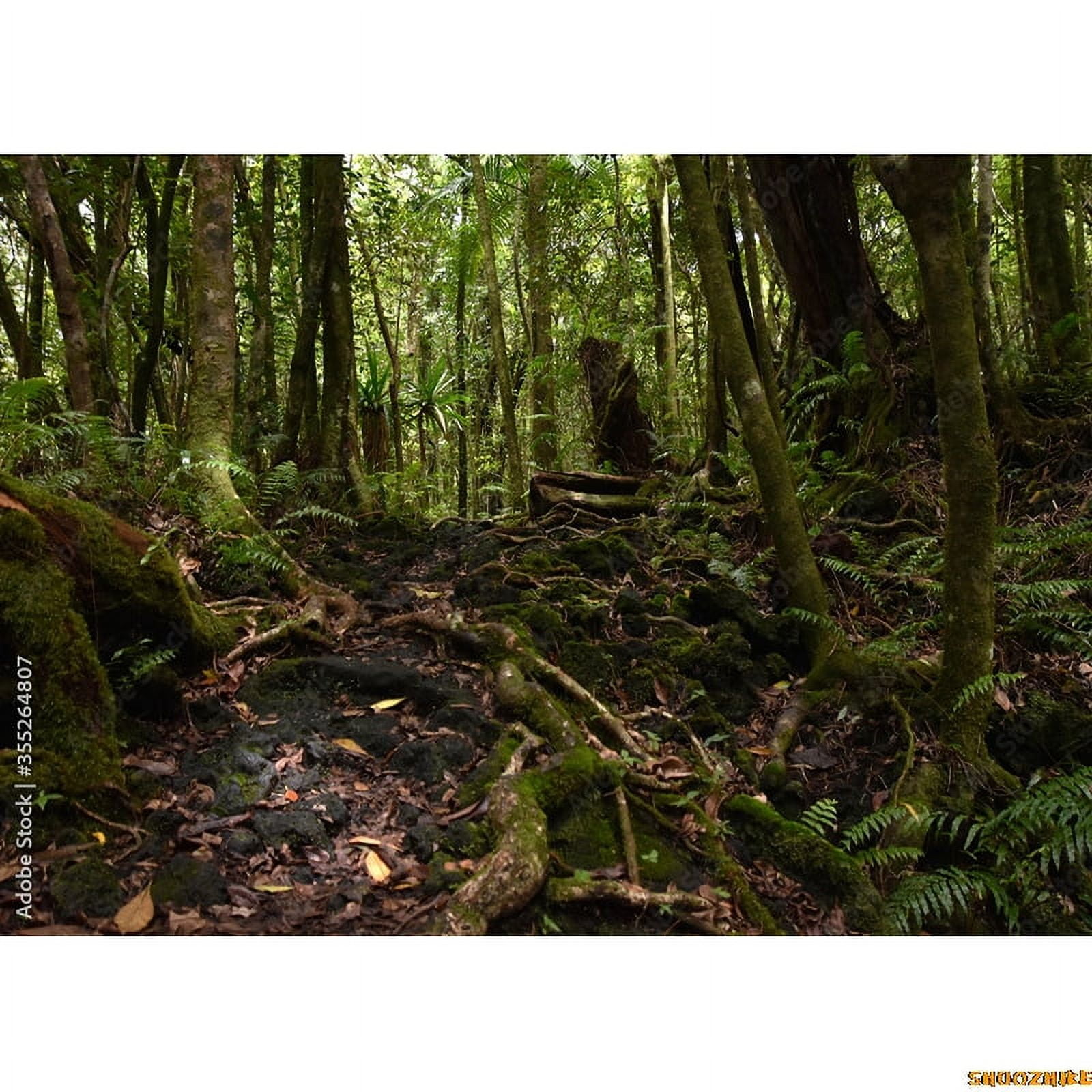 Gre Virgin Coniferous Forest Photography Backdrops Props Moss Tropical ...