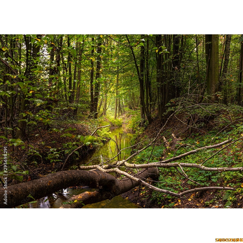 Gre Virgin Coniferous Forest Photography Backdrops Props Moss Tropical ...