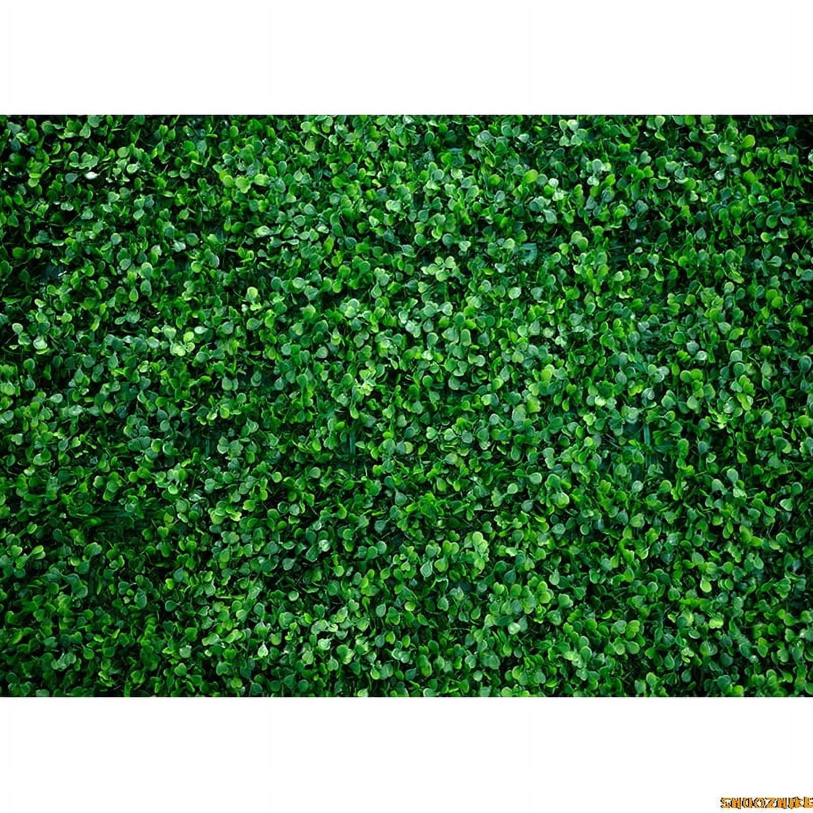 Gre Virgin Coniferous Forest Photography Backdrops Props Moss Tropical ...