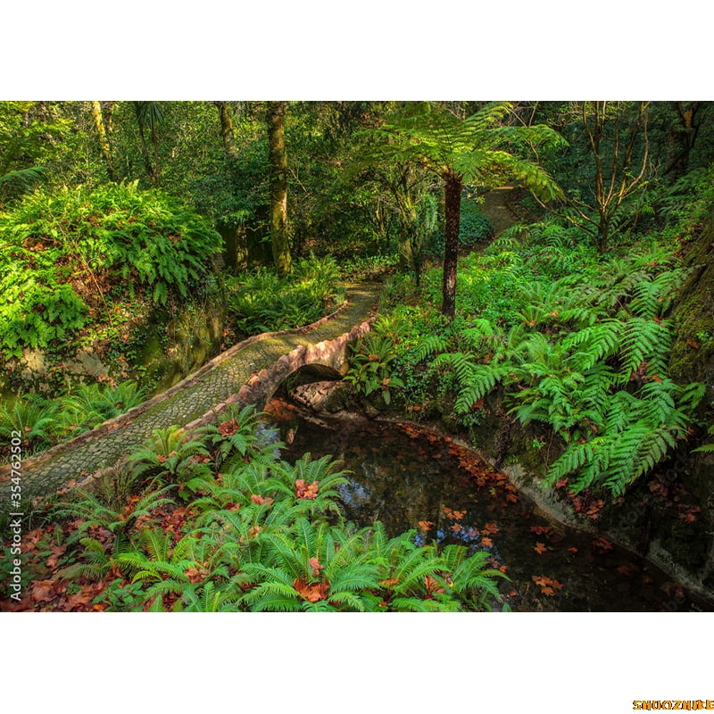 Gre Virgin Coniferous Forest Photography Backdrops Props Moss Tropical ...
