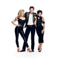 Grease Live Cast Poster 24In x36In 2016 Art Poster 24x36 Multi-Color ...