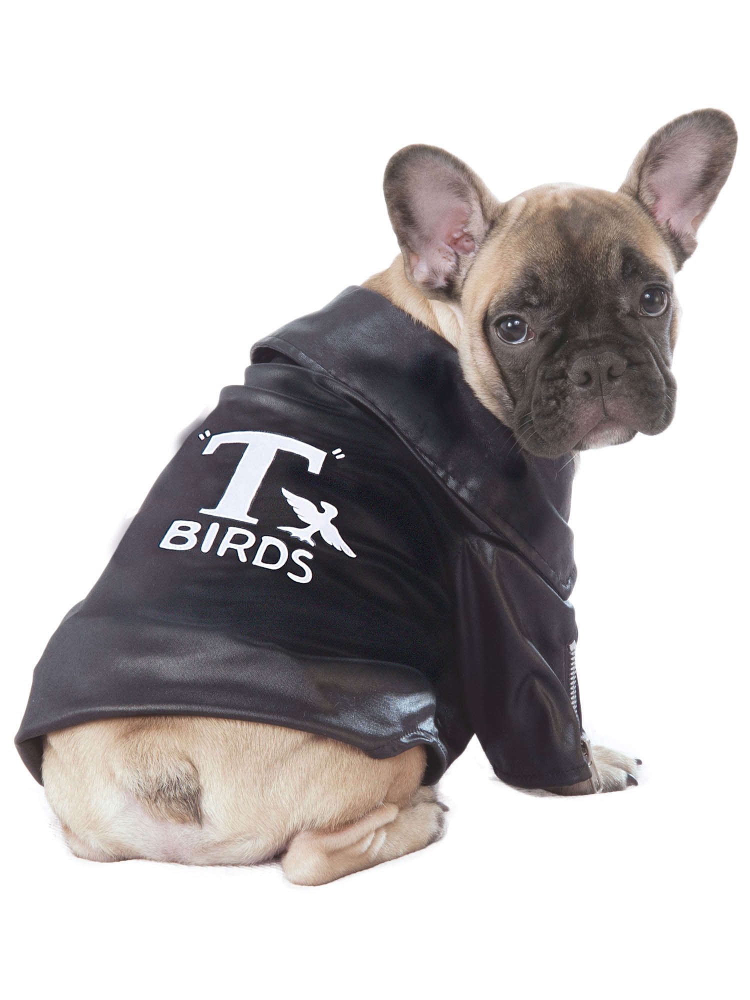Grease T-Bird Jacket Pet Costume for Dogs or Cats by Rubies, XL ...