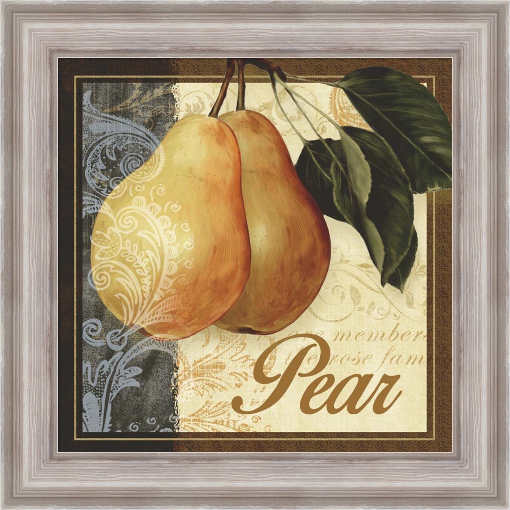 Great Art Now Fruit Illustration III by Abby White, Framed Wall Art ...