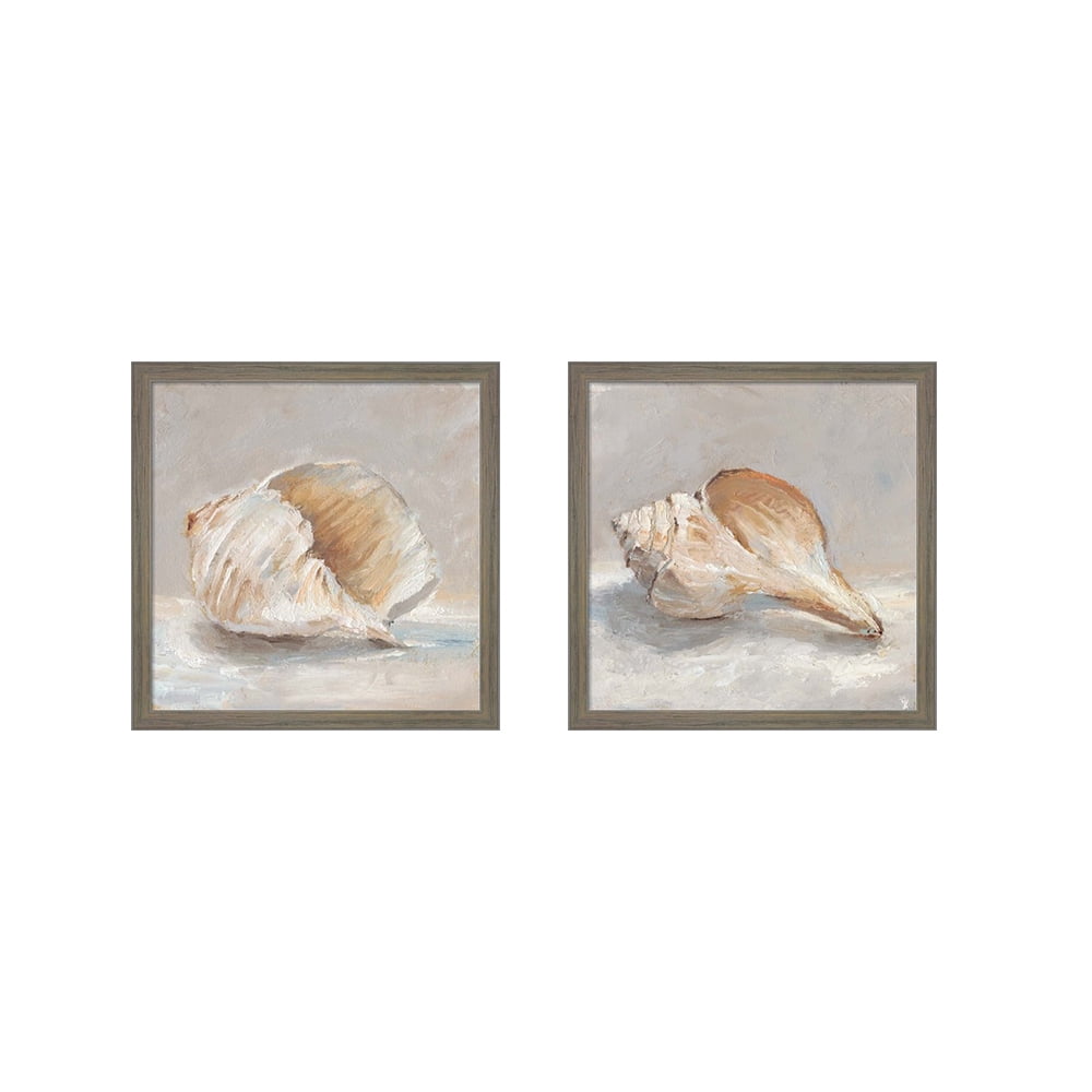 Great Art Now Impressionist Shell Study by Ethan Harper, 2 Piece Framed ...